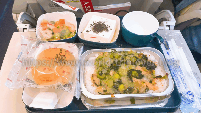 【搭乗記】CA157便(上海浦東-成田)の中国国際航空エコノミークラスに乗ってみた！ | AviationNoteと行く空の旅