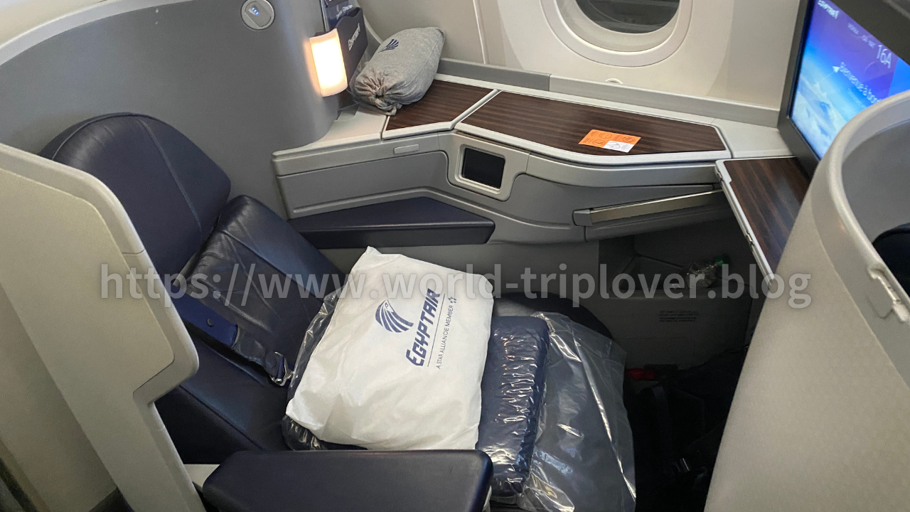 【搭乗記】エジプト航空MS964便でカイロから成田へ移動！ビジネスクラスB787-9のフライト体験 | AviationNoteと行く空の旅