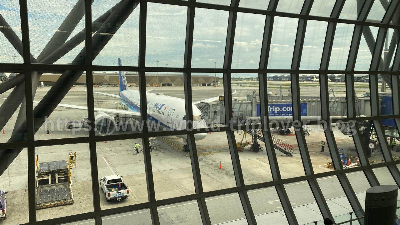 【搭乗記】NH878便(バンコクから羽田)のエコノミー搭乗レポート：座席・機内食・快適性を徹底解説！ | AviationNoteと行く空の旅